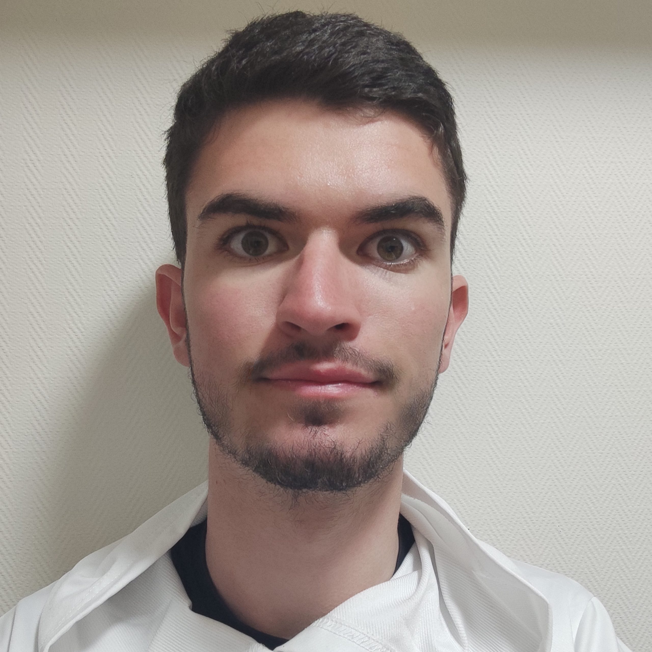 Victor Renouf – Tissage – science, politique et journalisme – IUT de ...